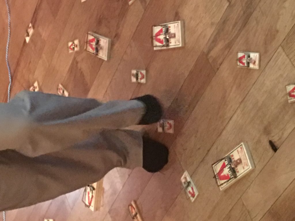 Trust Walk Activity - Team Building Activities